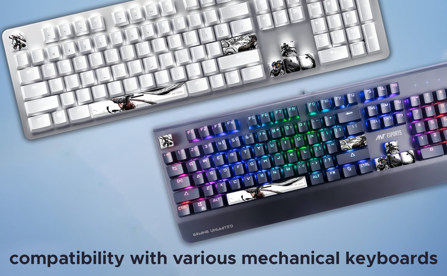 Ant Esports PBT Keycaps Switches for Mechanical Keyboard Ape Valley ...