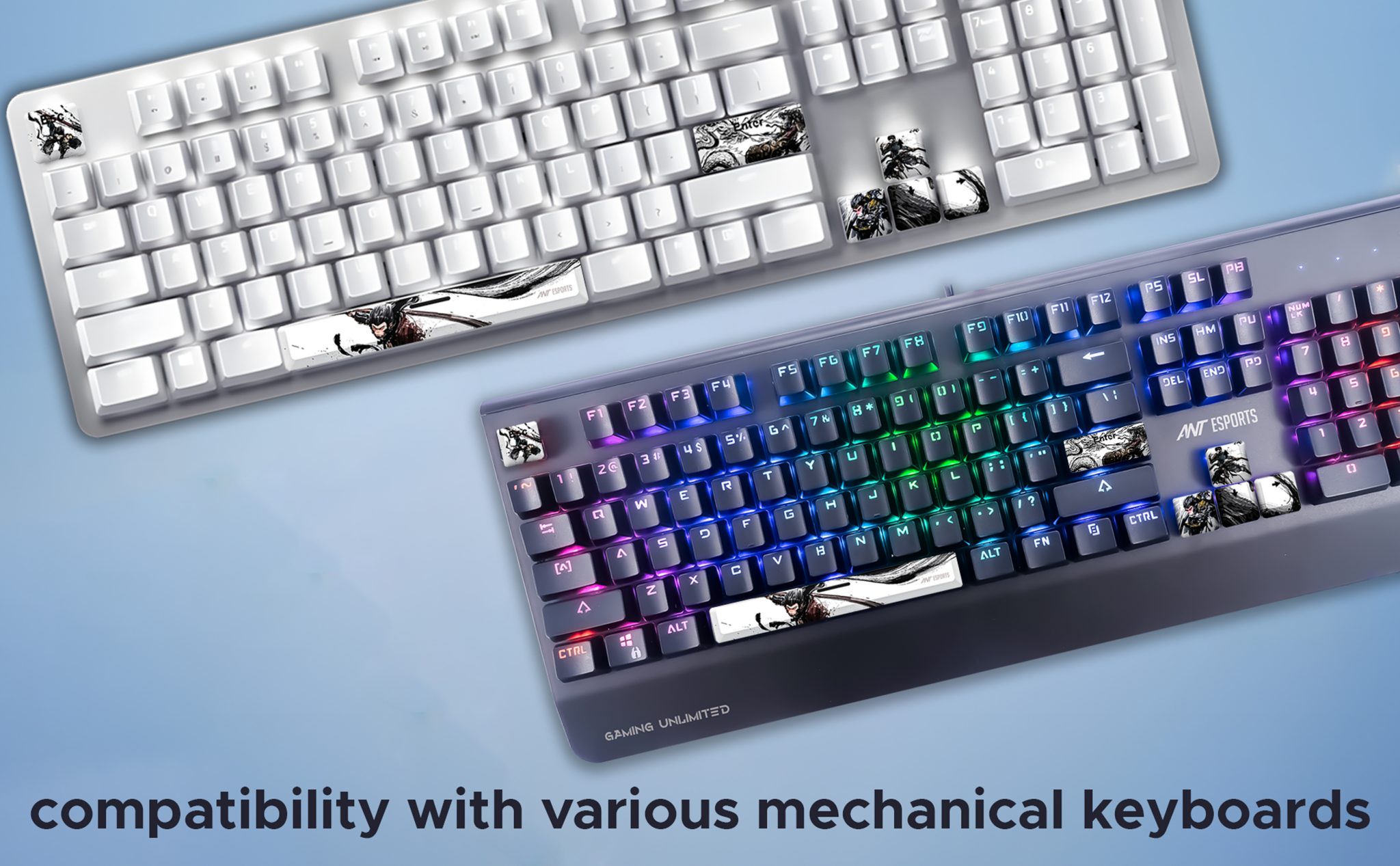 Ant Esports PBT Keycaps Switches for Mechanical Keyboard Ape Valley ...